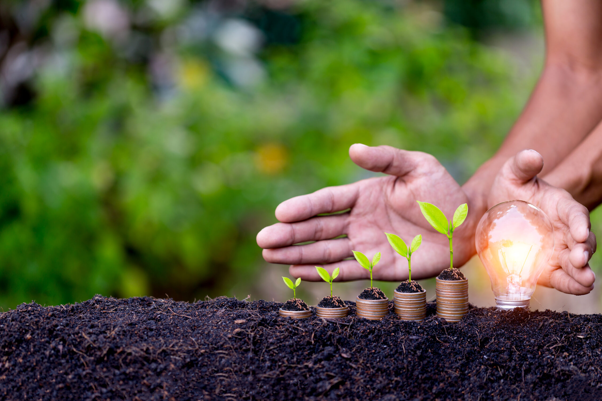 SSVP Fund Development Webinar - Society of Saint Vincent de Paul ...